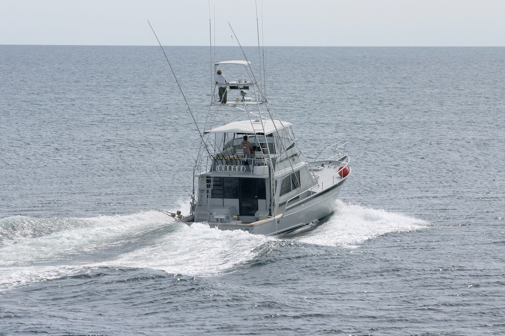 Afishinado Fishing Charters | Sandbridge Life Realty